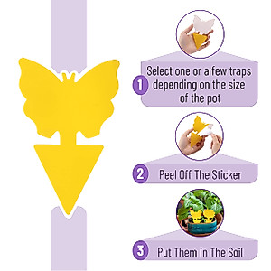 Sticky Fruit Fly Trap, 13 pcs, Fungus Gnat Sticky Trap with Shovel, Fly Traps for Indoors and Outdoor, Fruit Fly Killer, Gnat Sticky Traps for Plants, Fungus Gnat Killer