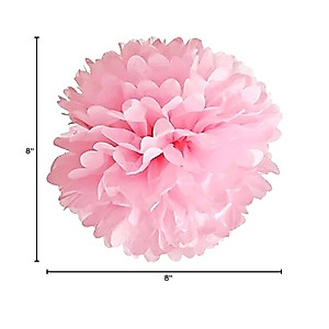 Hot Pink Tissue Paper Pom Poms Paper Flower Ball 12Pcs for Wedding ,Bachelorette, Baby Shower, Bridal Shower and Pink Party Decorations(8 &10 & 12 inch)