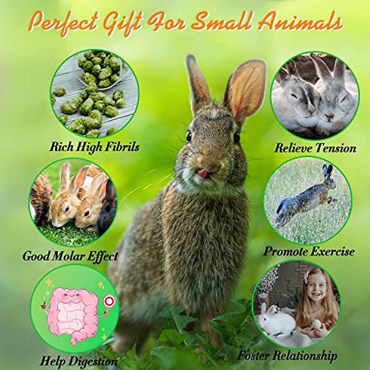 KIROYAL Rabbit Chew Toys Guinea Pig Toys Bunny Toys Natural Timothy Hay Sticks Hamster Chew Toys for Teeth and Apple Sticks for Rabbits Chinchilla Ball Gerbil Toys