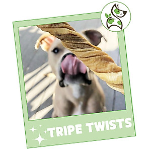 Nature Gnaws Tripe Twists for Dogs 4-5" (20 Count) - Crunchy Grain Free Reward Snack for Small, Medium & Large Breeds - Natural Beef Dog Chew Treats - Rawhide Free