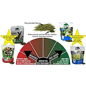 Sherwood Pet Health Adult Rabbit Food Alfalfa Timothy Hay-Based Blend 10 lbs, Grain and Soy-Free for Better Digestion