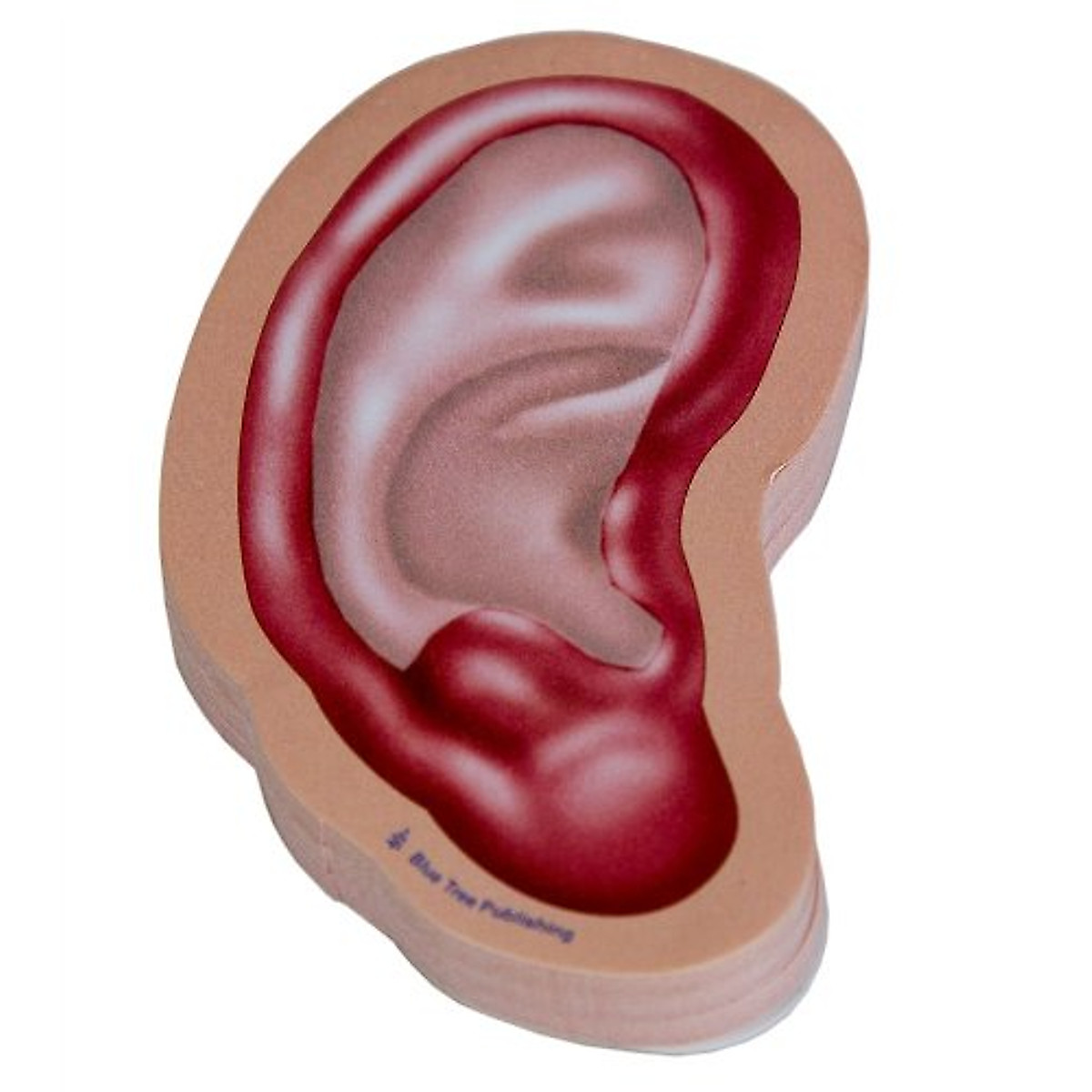 Hearing Gift Box Collection 2, 12 Pack for Audiologist, Students or Hearing Professional