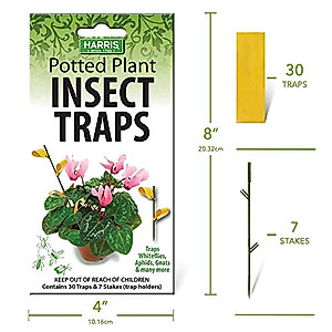 Harris Potted Plant Insect Traps for Gnats, Aphids, Whiteflies and More (30 Traps, 7 Stakes)