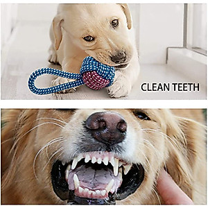 Derong Puppy Toys for Small Dogs, Teething Toys for Puppies,Cute Dog Toys for Small Dogs,Durable Chew Toys for Puppies,100% Natural Cotton Rope Chew Toys,Non-Toxic and Safe(7 Pack)