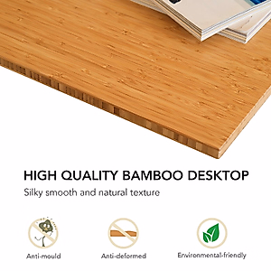 FLEXISPOT Adjustable Desk, Electric Standing Desk Sit Stand Desk, 48 x 24 Inches Whole-Piece Bamboo Desk Top Home Office Table Stand up Desk (White Frame+Bamboo Top)