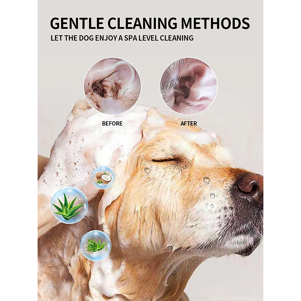 SACLLCAS Large Ear Wipes for Dogs,Dog Ear Cleaning Pads Otic Cleanser for Dirty, Waxy, Smelly Ears Solution,Premium Strength Pet Ear Cleaner Wipes with Natural Aloe and Mugwort-100 Count