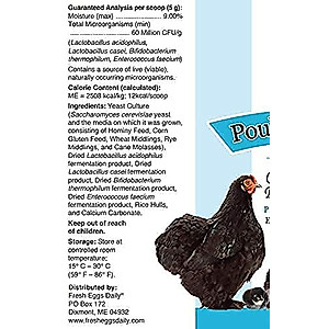 FRESH EGGS DAILY Poultry Probiotics Feed Supplement Vitamins for Backyard Chickens and Ducks 1LB