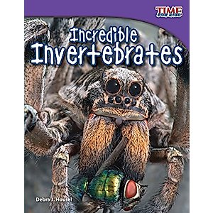 Teacher Created Materials - TIME For Kids Informational Text: STEM Collection - 10 Book Set - Grade 3 - Guided Reading Level N - Q