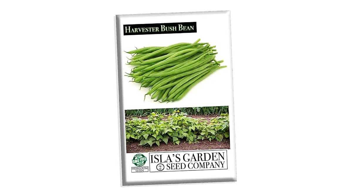 Harvester Bush Bean Seeds - Non-GMO Heirloom Variety