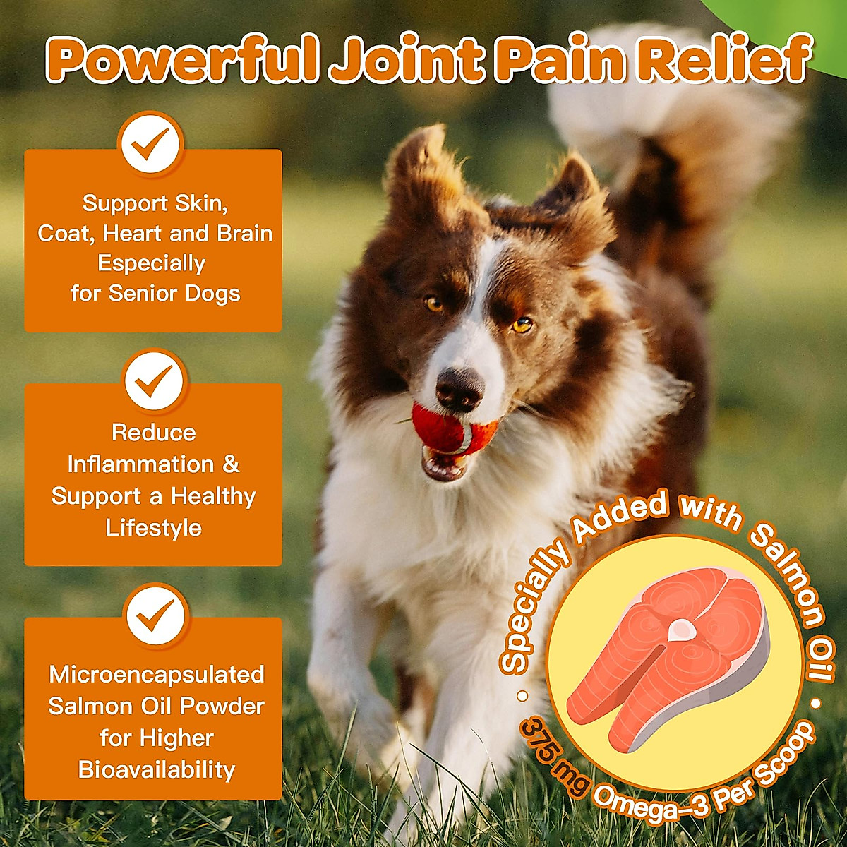 Glucosamine for Dogs - Joint Supplement for Dogs, Chondroitin, MSM, Turmeric, Omega 3 for Dogs, Support Hip and Joint Mobility - Dog Joint Pain Relief, Dog Joint Supplement Large Breed, 9.52 Oz