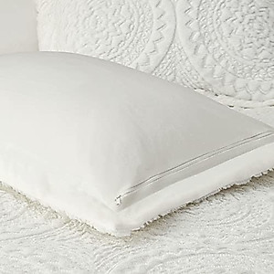Madison Park Ultra Soft Luxury Premium Plush Comforter Mini Modern All Season Down Alternative Bedding Set with Matching Sham, King, Ivory