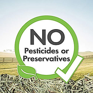 Vitakraft Small Animal Timothy Hay for Guinea Pigs, Rabbits, and Chinchillas - 3.5 lbs