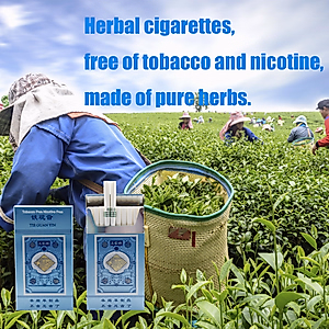 Fetcasy® Herbal Cigarettes - Tobacco and Nicotine Free， 2 Packs 40 Smokes