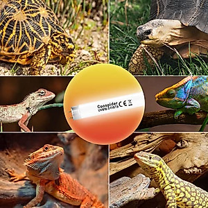 Hypool 2-Pack UVB Reptile Light 10.0 Bulb 15W 18inch T8 Fluorescent Desert Lamp for Bearded Dragon Tortoise Reptile & Amphibian (15W 18inch 10.0 Bulb G13)