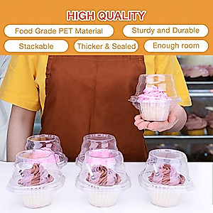 HIMETSUYA Cupcake Boxes Individual Cupcake Containers, 50 Packs Regular Single Cupcake Holder High Topping for Muffins, Thicker Stackable Plastic Cupcake Carrier for Party (50 pack)