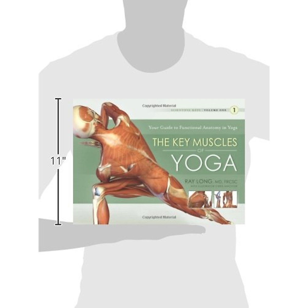 The Key Muscles of Yoga: Scientific Keys, Volume I