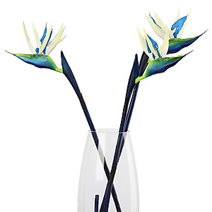 GLSATEMAN Artificial Bird of Paradise Flowers Rubber Strelitzia 32'in Long Stem Flower 3 Pcs,Suitable for DIY Home Decor Party Theme Display (Orange)