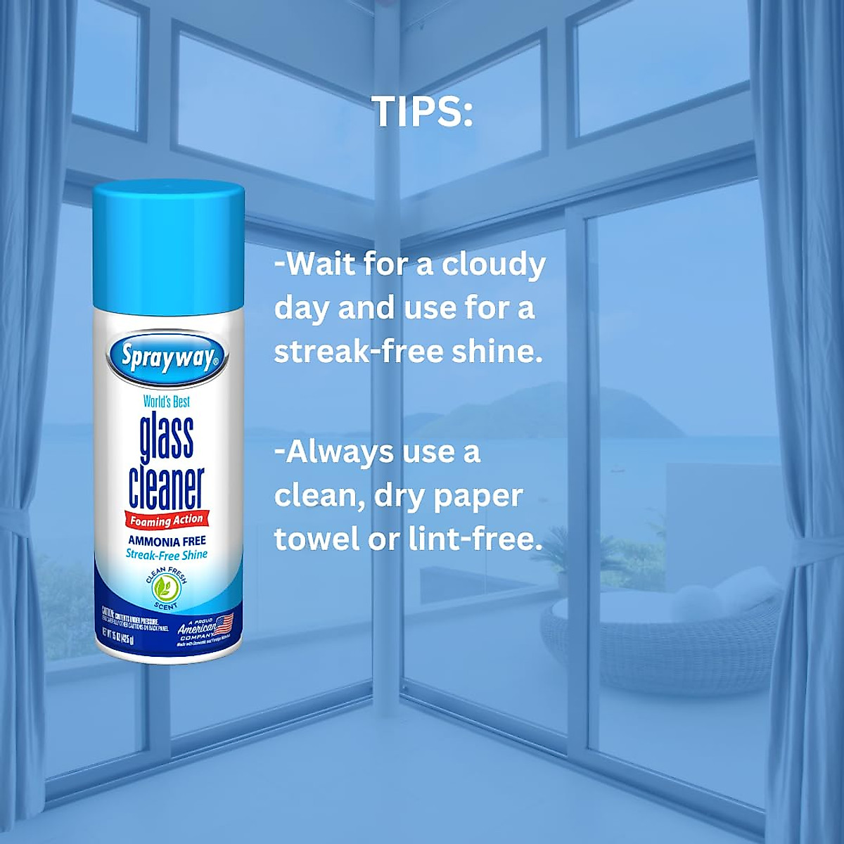 Sprayway Ammonia-Free Glass Cleaner, Foaming Action - Streakless Shine, 1 Count (New & old versions are shipped randomly)