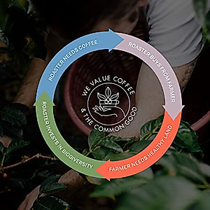 Good Citizen Coffee Co. Chin Up Whole Bean Coffee, Medium-Roast Coffee Blend, 12 Ounces, 340 Grams