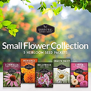 Survival Garden Seeds Beautiful Flower Collection - Hollyhock, Shasta Daisy, Purple Coneflower (Echinacea), Crackerjack Marigold, California Giant Zinnia - Non-GMO Heirloom Seeds