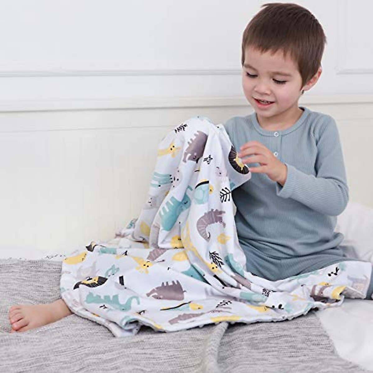 BORITAR Summer Baby Blanket for Boys Soft Minky with Double Layer Dotted Backing, Cute Animals Printed 30 x 40 Inch Receiving Blanket