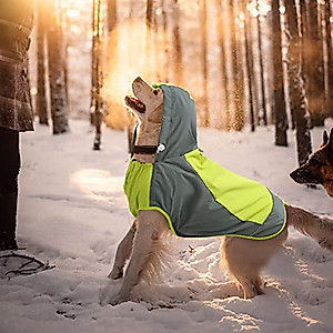 Hooded Dog Raincoat, Portable Pet Waterproof Jacket Coats,Pet Raincoat with Reflective Strips for Large/Medium Dogs Puppies Outdoor,Green