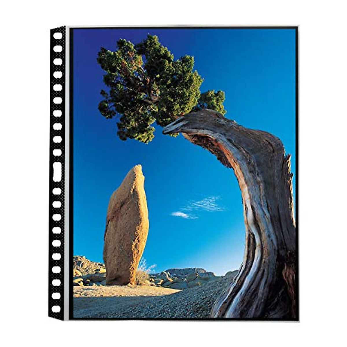 ProFolio by Itoya, Art ProFolio PolyGlass, 10-Pack Multi-Ring Binder Refill Pages - Portrait, 8.5 x 11 Inches