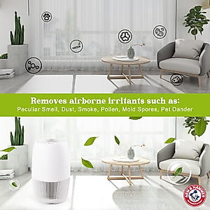 Arm & Hammer, AH301W HEPA Air Purifier for Home Office, Desktop Air Cleaner Removes 99.97% Allergies, Smoke, Dust, Pollen, Pet Dander, Odor, Germs, Mold, Pearl White