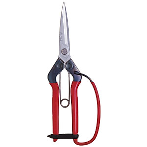 CHIKAMASA professional horticultural pine needles scissors T-710GDX (japan import)