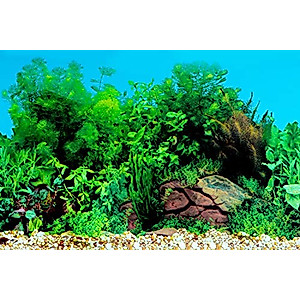 LENDAWAY New Undersea Coral, Seaweed Background Aquarium Background Decoration 25 x 15（inch）