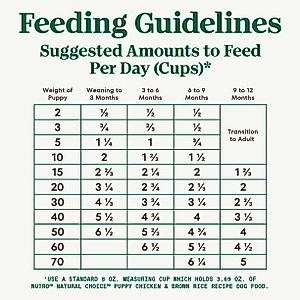 Puppy Dry Dog Food, Chicken and Brown Rice Recipe, 5 Lbs, Made with The Finest Ingredients from Around The World