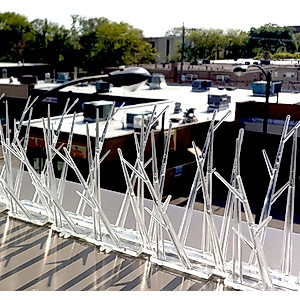 Bird-X, SP-10-NR Plastic Polycarbonate Bird Spikes Kit with Adhesive Glue, Covers 10 feet