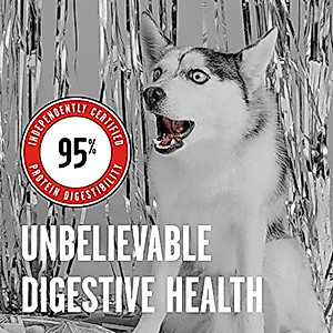 BIXBI Rawbble Freeze Dried Dog Food, Beef Recipe, 4.5 oz - 98% Meat and Organs, No Fillers - Pantry-Friendly Raw Dog Food for Meal, Treat or Food Topper - USA Made in Small Batches