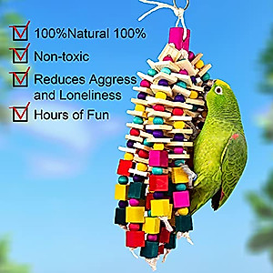 PANQIAGU Parrot Toys for Large Birds - Multicolored Natural Wooden Blocks Bird Tearing Toys Suggested for Macaws Cockatoos,African Grey, and a Variety of Amazon Parrots(X- Large)