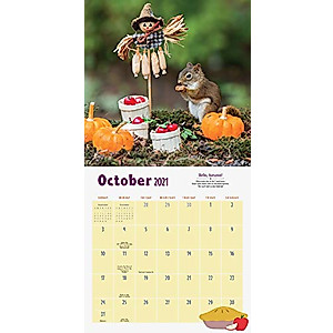 The Secret Life of Squirrels Wall Calendar 2021