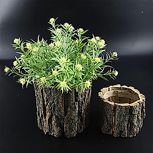 QIANSHENG Wooden Flower Vase Succulent Planter Pots Decorative Tree Stump Shape Flower Pot Round Bark Basket Bonsai Pots for Indoor Outdoor Home Garden Decor