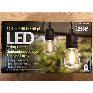 Feit Electric 48' LED Filament String Light Set