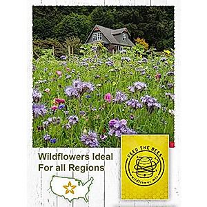American Meadows Wildflower Seed Packets "Feed The Bees'' Party Favors (Pack of 20) - Pollinator Wildflower Seed Mix to Attract Hummingbirds, Bees, and Butterflies, Party Favor for Any Occasion