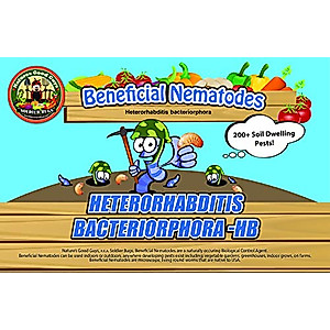 Bug Sales 50 Million Live Beneficial Nematodes - HB (Heterohabditis bacteriophora)