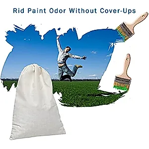 SMELLEZE Reusable Paint Odor Remover Deodorizer Pouch: Gets Fumes Out Without Scents in 150 Sq. Ft.