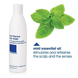 LATHER Appoint-Mint - Gentle Daily Moisturizing Shampoo, Detangler Conditioner & Leave-In Conditioning Mask Set - Sulfate-Free for All Hair Types