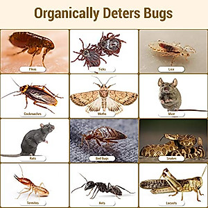 Wood Smith USA 18-Pack Cedar Blocks/Sandpaper | Clothes Storage | Aromatic Cedar Wood Planks for Closets & Drawers | 100% Natural Red Cedar for Moth Protection, Odor Removal | Wardrobe Freshener