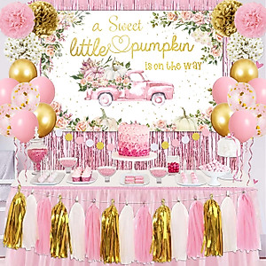 Little Pumpkin Baby Shower Decorations, Girl Pink Pumpkin Baby Shower Decorations, A Little Sweet Pumpkin is On The Way Backdrop, Pink Pumpkin Baby Shower Party Supplies