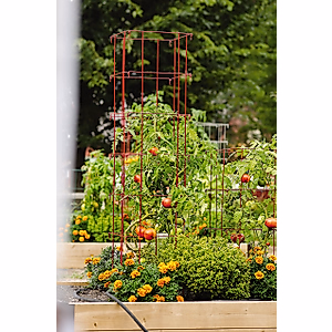 Gardeners Supply Company Lifetime Tomato Cages Plant Stand | Heavy Gauge Sturdy Garden Plants Support for Tomatoes and Other Climbing Plants | No Assembly Needed - Red (Set of 4)