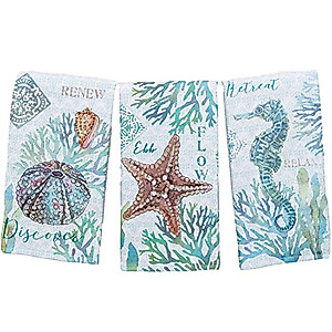 Kay Dee Designs Set of 3 Beachcomber Dual Purpose Terry Kitchen Towels