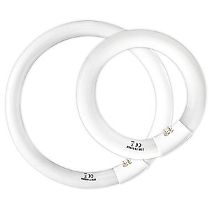 Celiwace FC8T9 22W and FC12T9 32W Set, 8 inch T9 22 Watts Circular Light Bulbs, 12 inch 32 Watts Circline Fluorescent Bulb CRI 80, Daylight 6500K, 3350 Lumen G10q