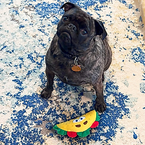SPOT Fun Food Taco Plush Dog Toy with Squeaker - Interactive Soft, Squeaky Toy for Dogs and Puppies, Keeps Pets Entertained, Cute and Funny Chew Toy Made with Soft Fabric - 6in