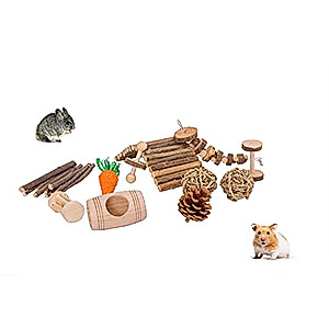 Neakomuki Hamster Toys 11 Pack Guinea Pig Toy for Teeth Care Natural Wooden Hamster Chew Toys and Accessories for Syrian Dwarf Hamster Squirrels Rats Chinchillas Parrots Gerbils Bunnies