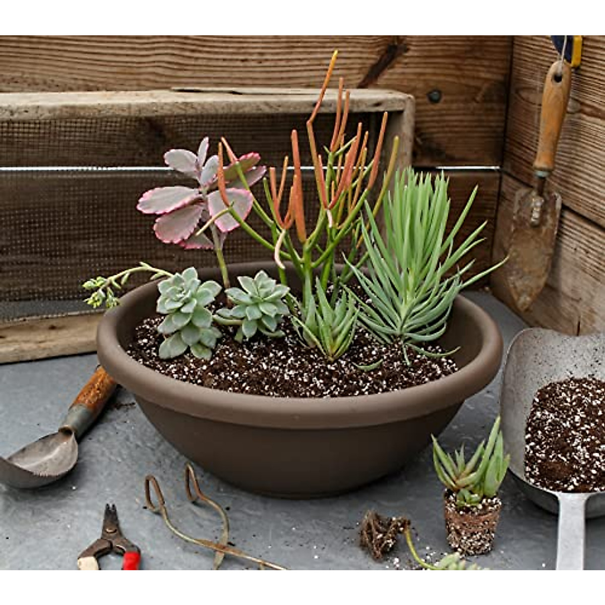 The HC Companies 18 Inch Large Garden Bowl Planter - Shallow Plant Pot with Drainage Plug for Indoor Outdoor Flowers, Herbs, Slate Blue