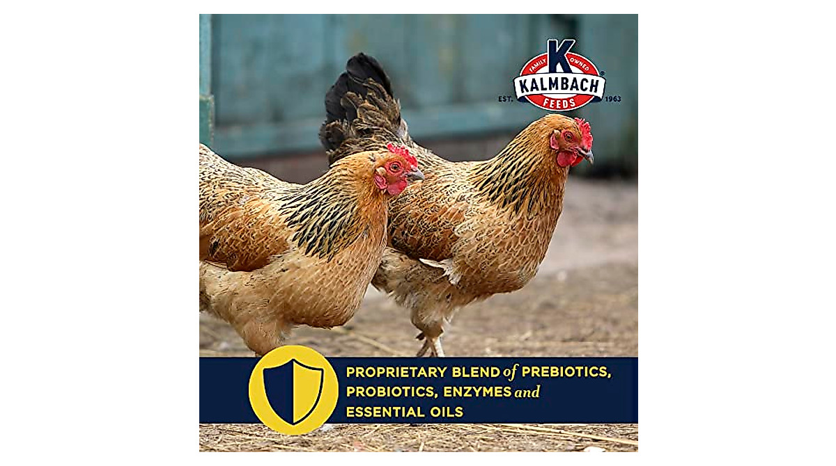 Buy Kalmbach Feeds Layer Pellets - 50 Lb Bag
